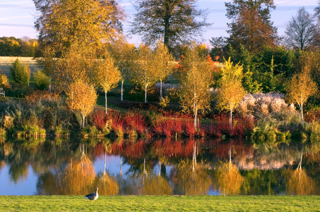 The Arboretum - Markshall Estate