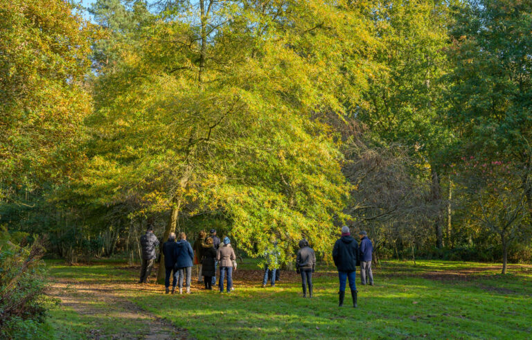 Group visits | Markshall Estate