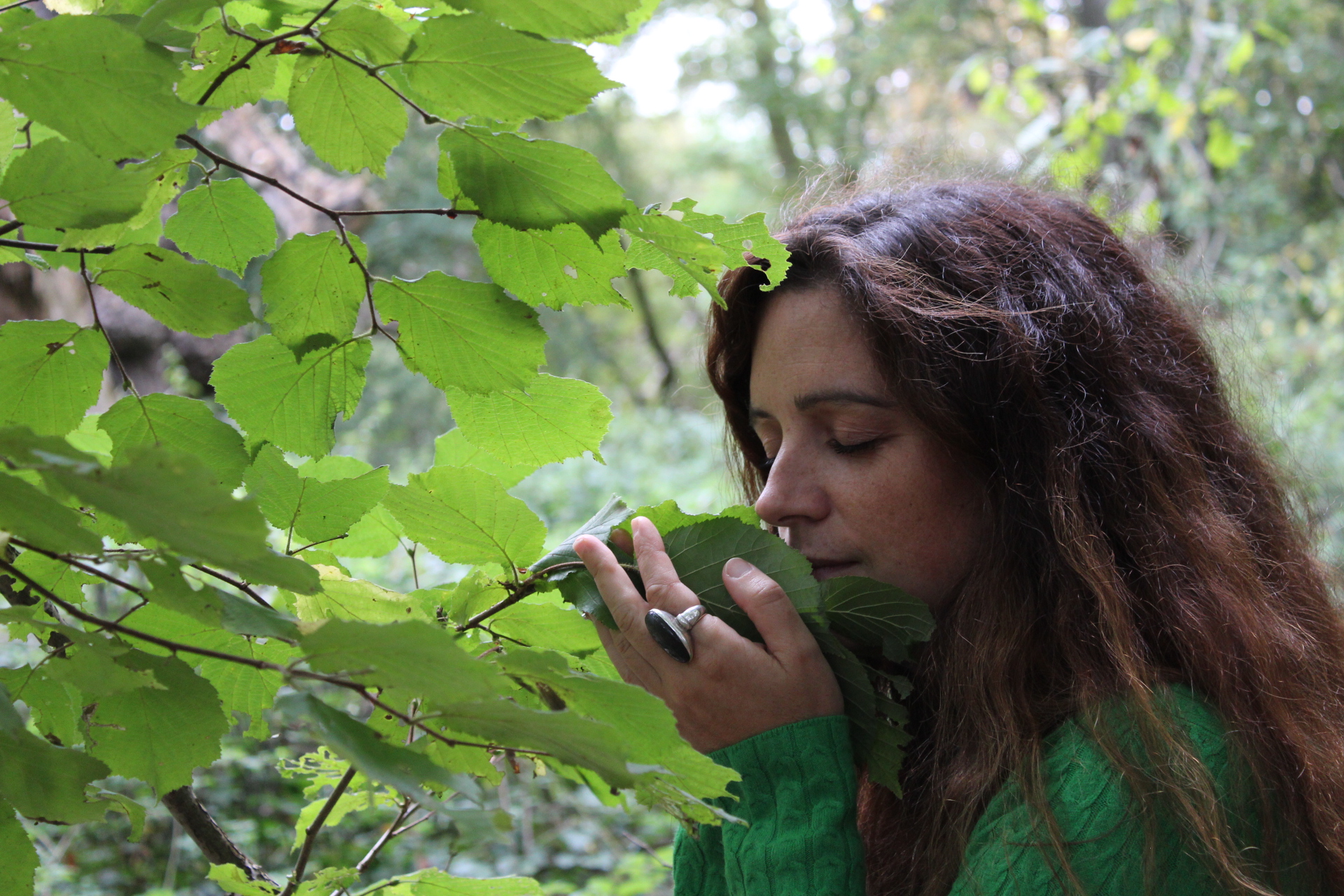 Forest Bathing - Markshall Estate