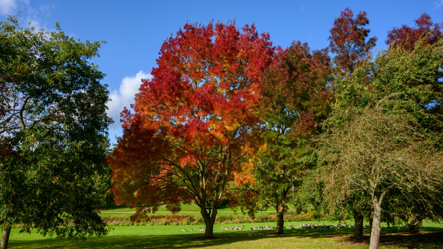 10 Things to See and Do this Autumn at Markshall Estate - Markshall Estate