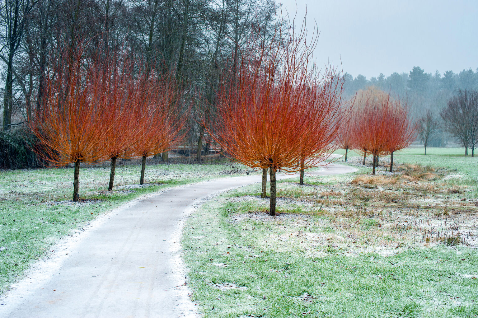 10 Things to See and Do this Winter at Markshall Estate - Markshall Estate