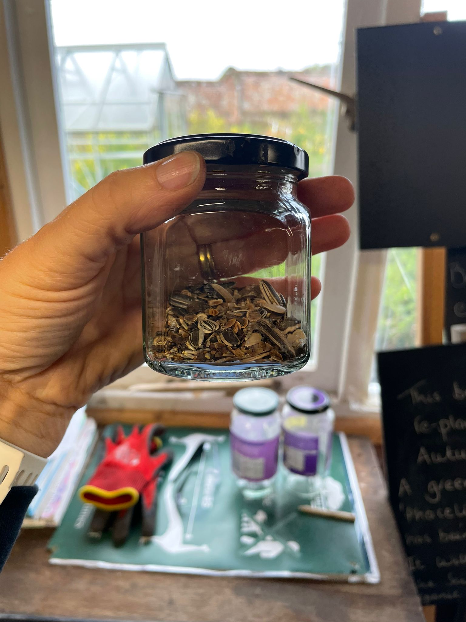 Your Guide to the Seed Collecting Season - Markshall Estate