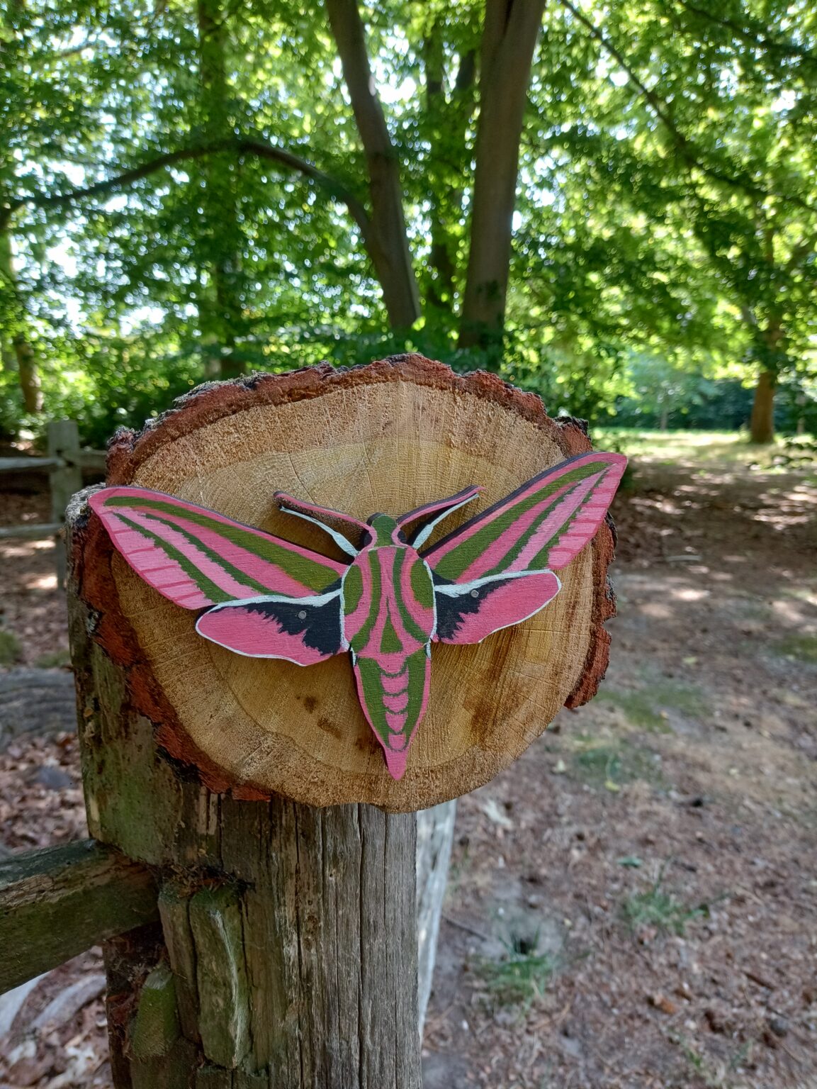 Minibeast Trail - Markshall Estate