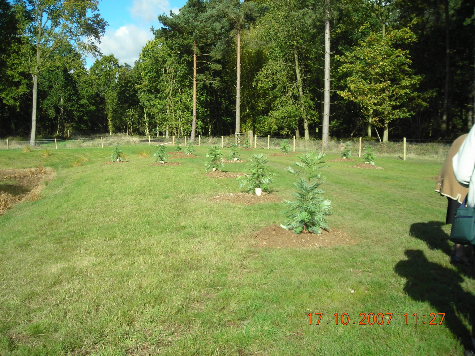 Head of Arboretum and Gardens reflects on 25 years of Nurturing an ...