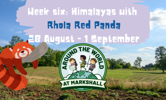 What’s On | Markshall Estate