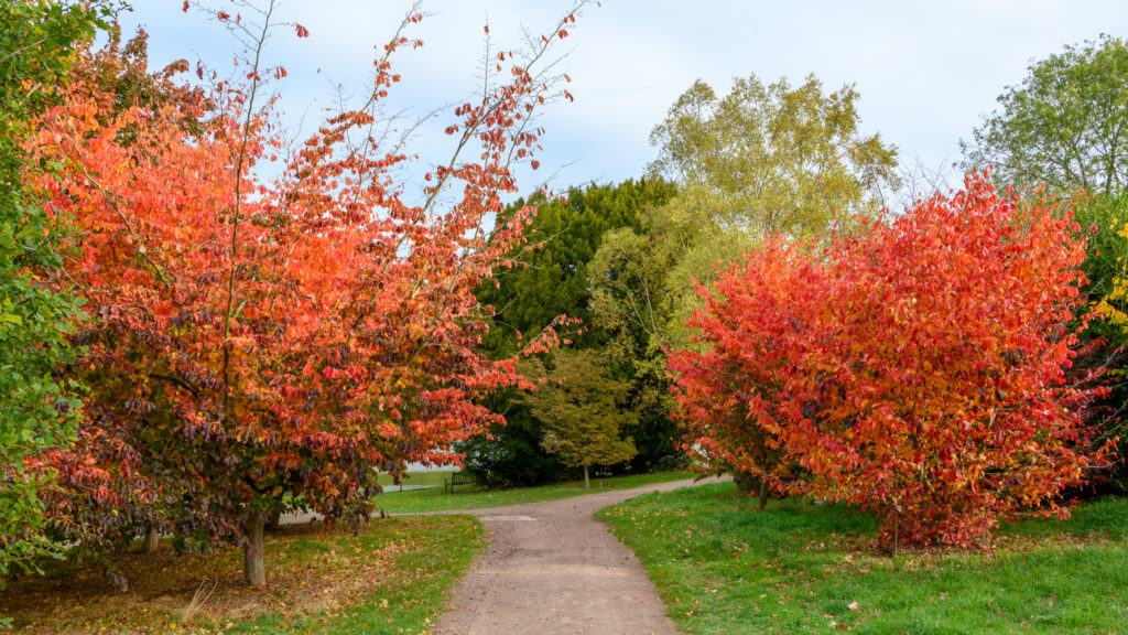 10 Things to See and Do this Autumn at Markshall - Markshall Estate